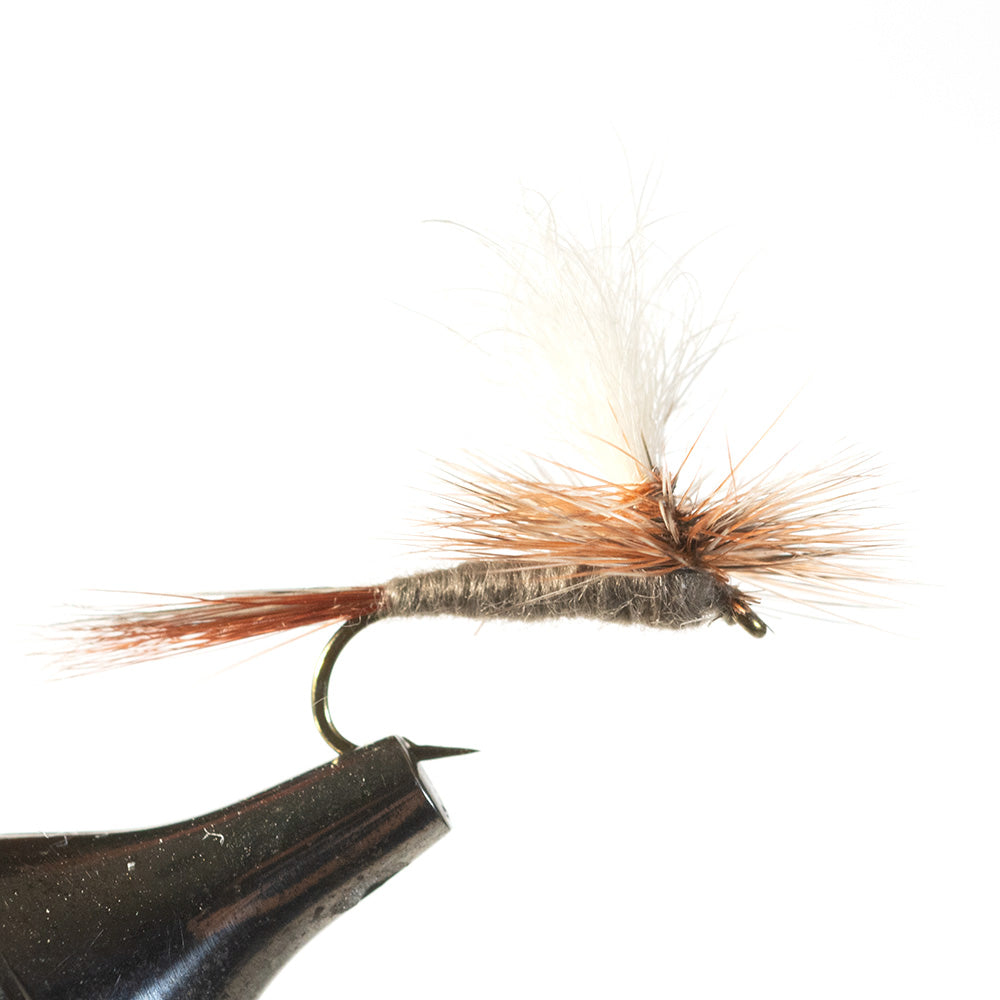Parachute Adams | Murray's Fly Shop