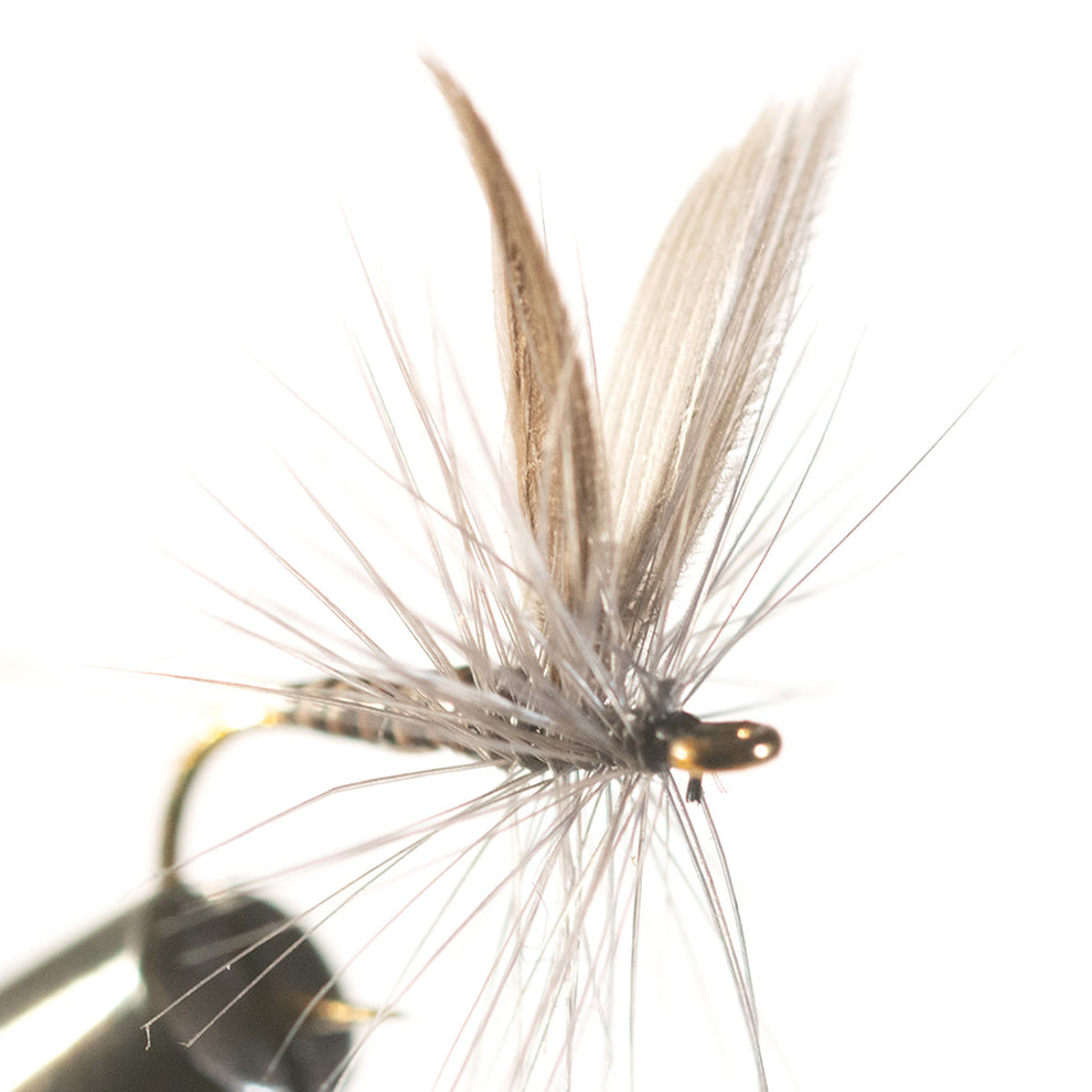Blue Quill Dry | Murray's Fly Shop