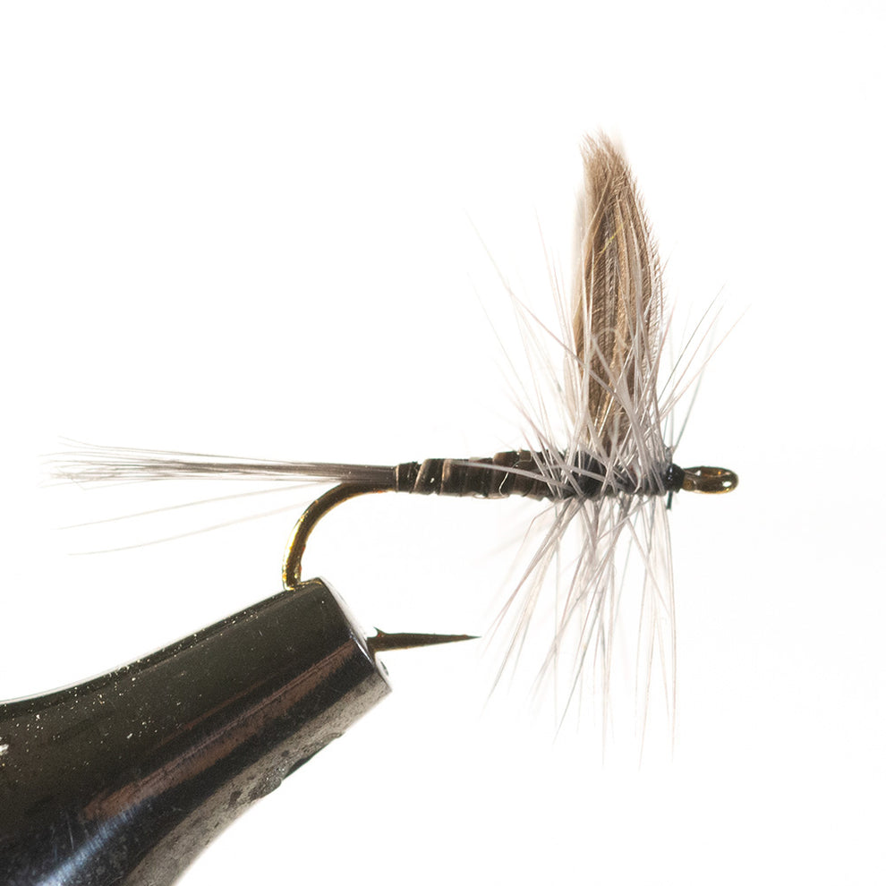 Blue Quill Dry | Murray's Fly Shop