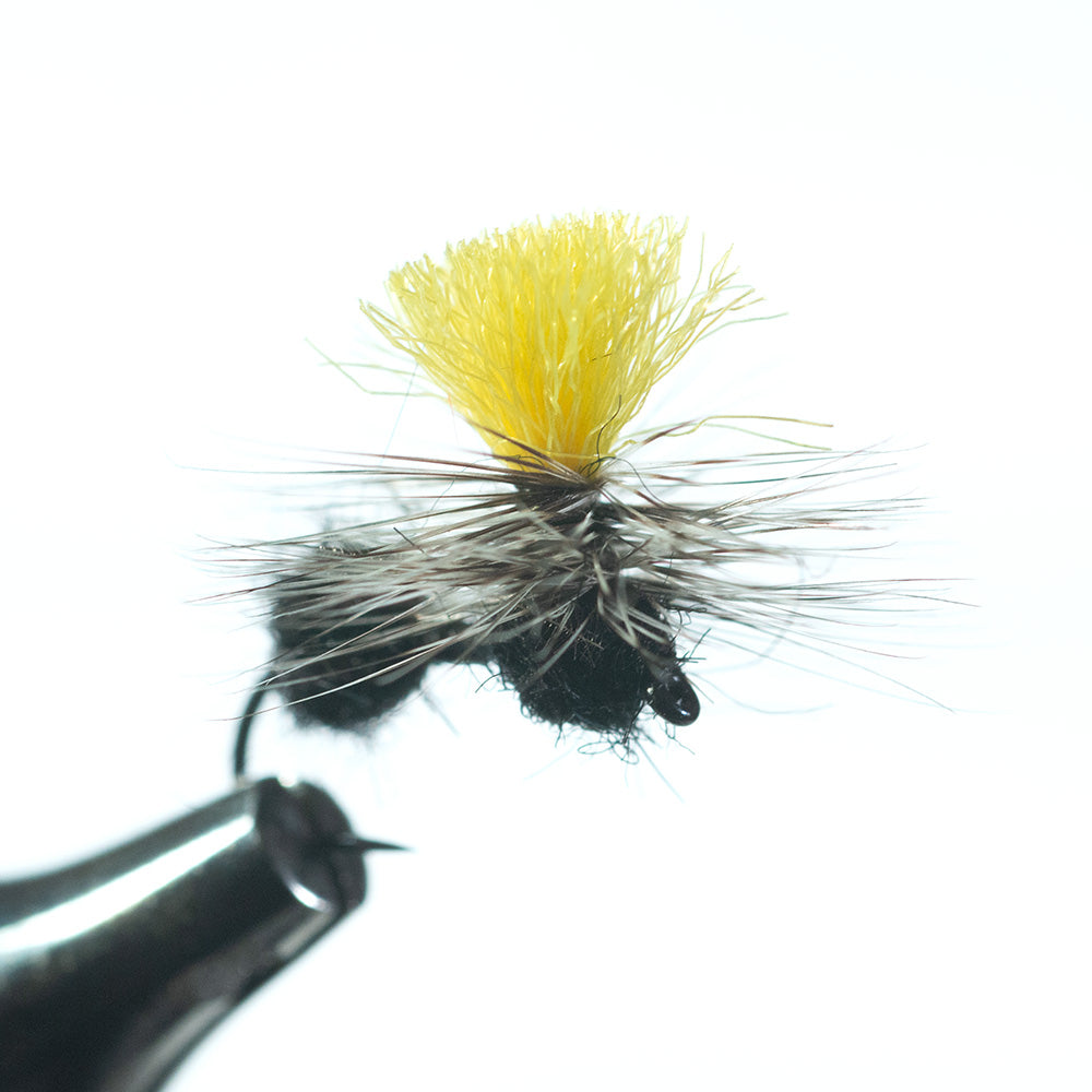 Mr. Rapidan Ant | Murray's Fly Shop