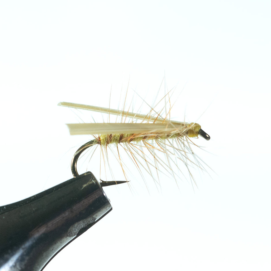 Murray's Fly Shop- Fly Fishing Equipment, Gear, Guide Service, Lessons