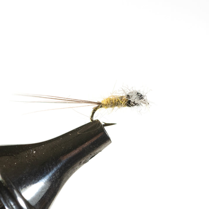 Trico Female Spinner | Murray's Fly Shop
