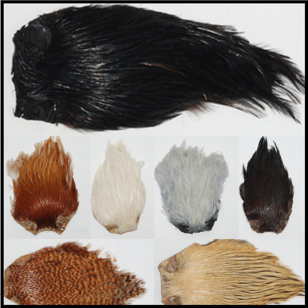Premium Indian Hackle Cape | Murray's Fly Shop