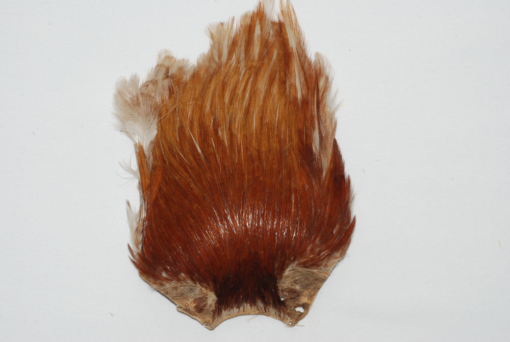 Premium Indian Hackle Cape | Murray's Fly Shop