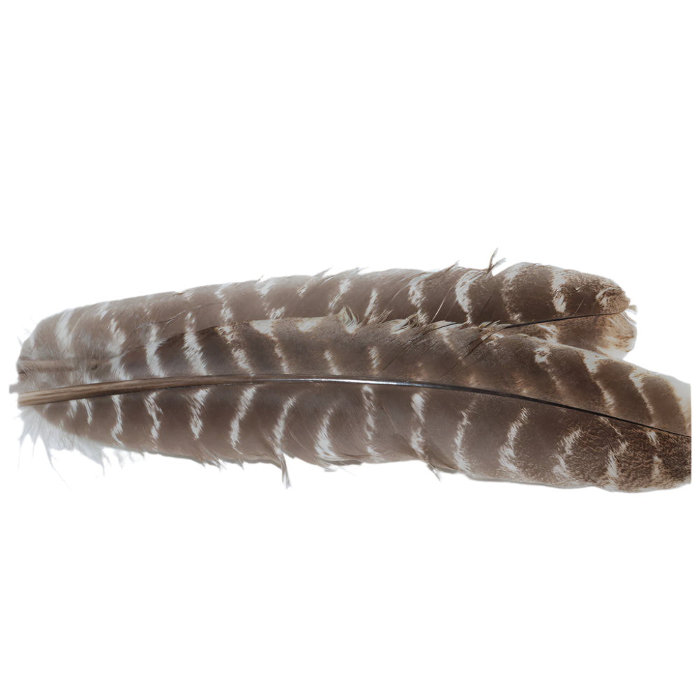 Turkey Wing Quills--Oak Mottled | Murray's Fly Shop